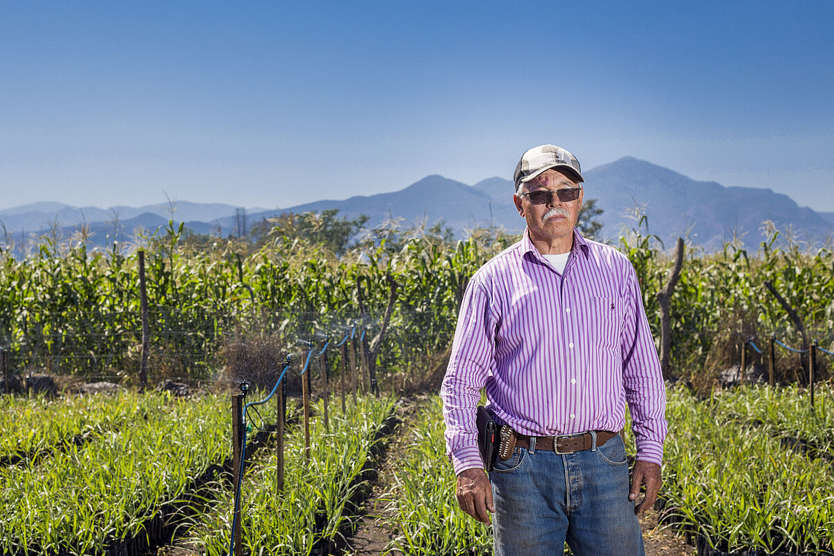 Sustainable financial solutions for a climate-friendly future | AWE Blog